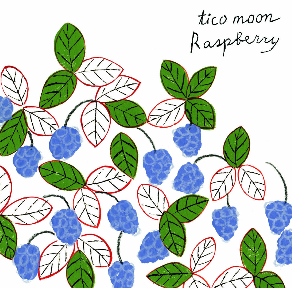 Raspberry – tico moon